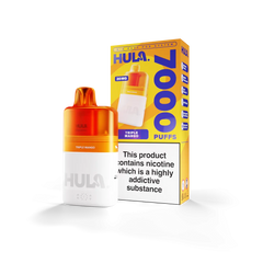 Hula 7000 Puffs Prefilled Pod Kit – Vape Wholesale